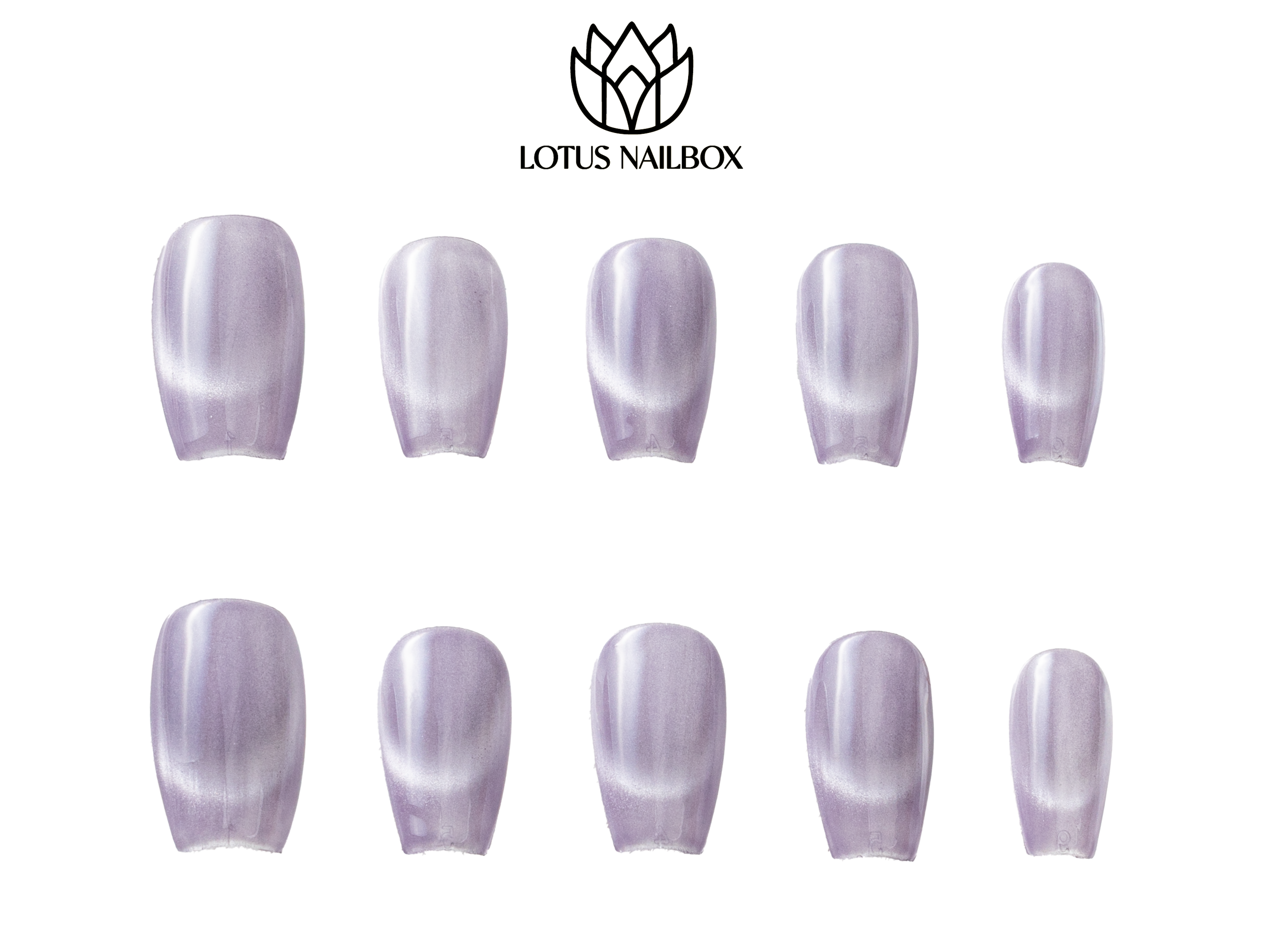 Lilac Luster 8808 – My Store